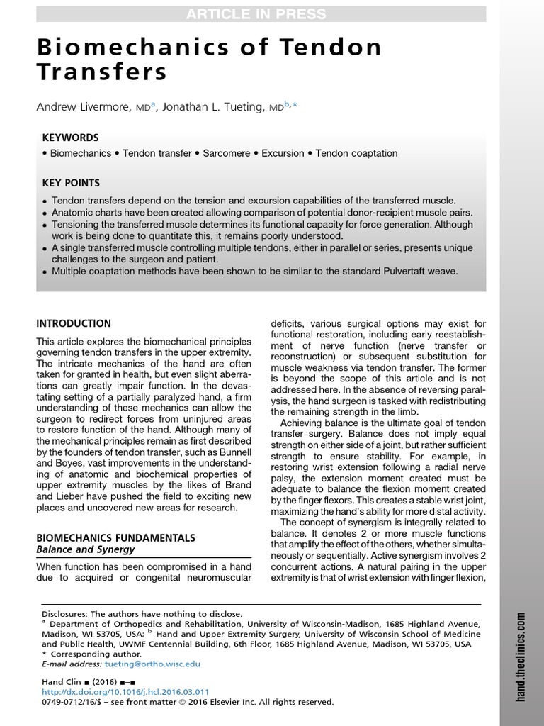 Biomechanics of Tendon Transfers | PDF | Muscle Contraction | Muscle
