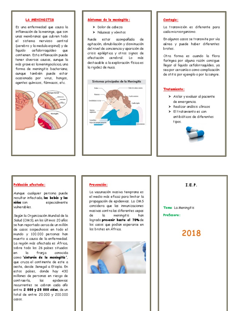 imprimir triptico | Meningitis | Salud pública