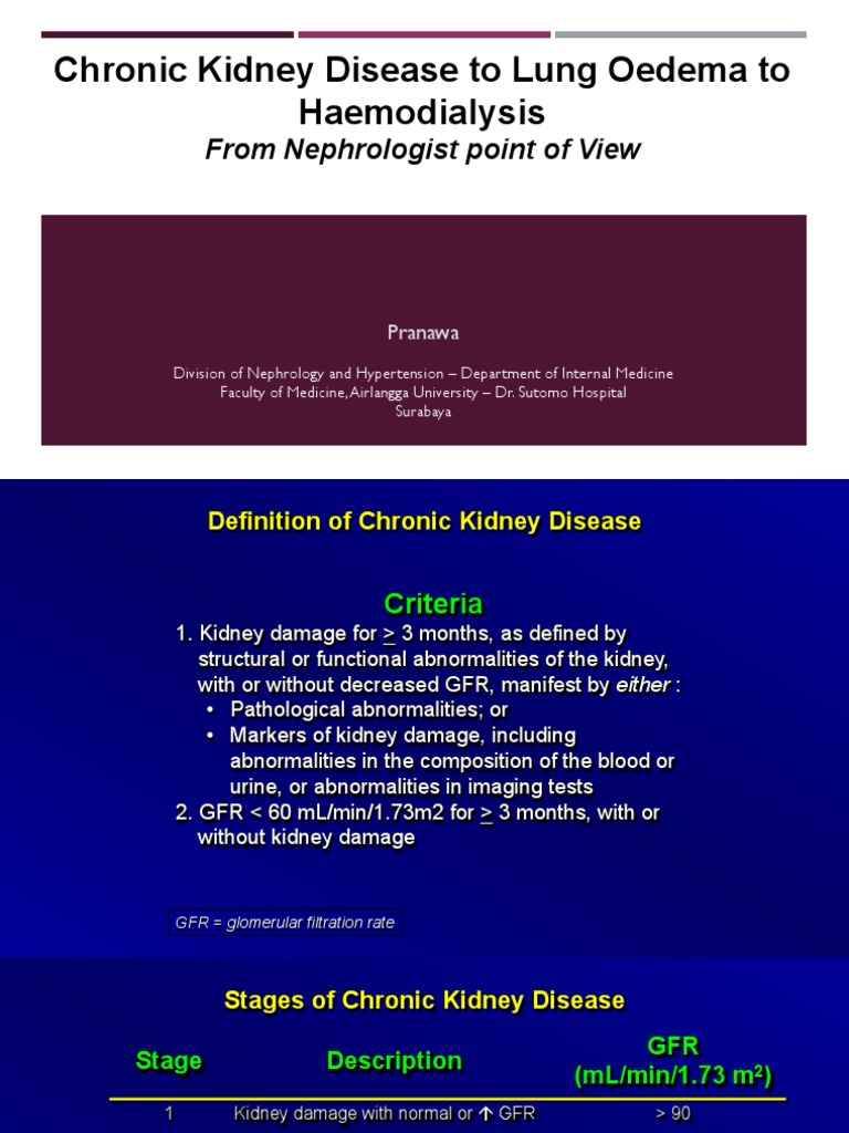 Perdici 2016 Utk Peserta | PDF | Chronic Kidney Disease | Renal Function