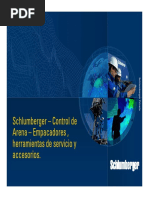 SLB Packer Catalog PDF | PDF | Casing (Borehole) | Drilling Rig