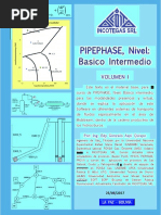 Guia para Progama Pipephase | PDF | Simulación | Aprendizaje