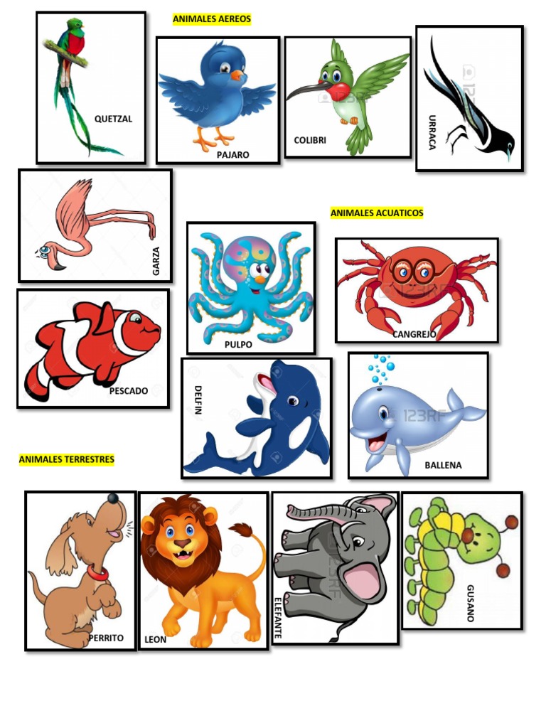 Animales Terrestres, Acuáticos y Aéreos | PDF