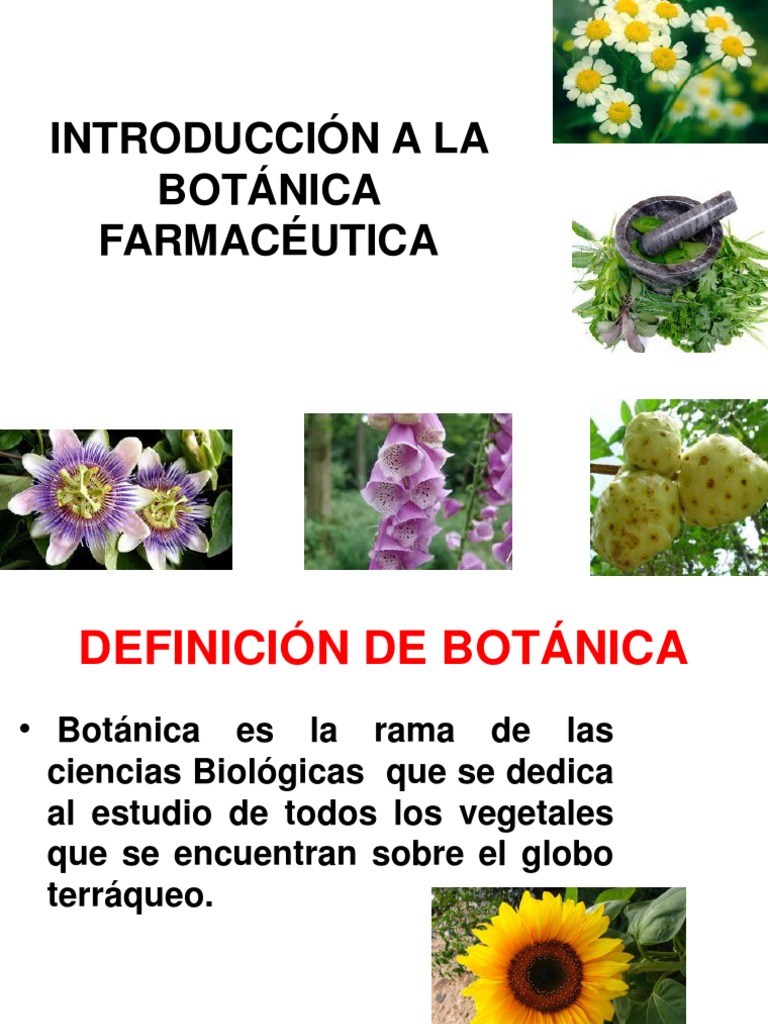 Definición y Clasificación de Botánica | PDF | Botánica | Taxonomía ...