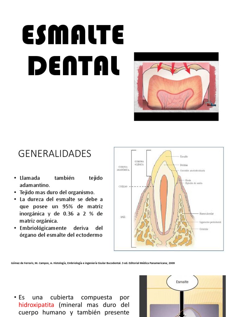 Esmalte Dental | Esmalte de dientes | Ciencias de la tierra y de la vida