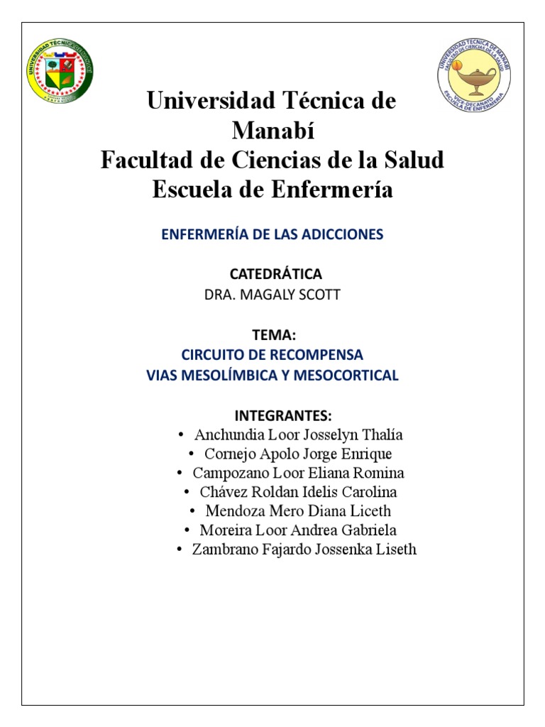 Circuito de Recompensa: Vías Mesolímbica y Mesocortical | PDF ...