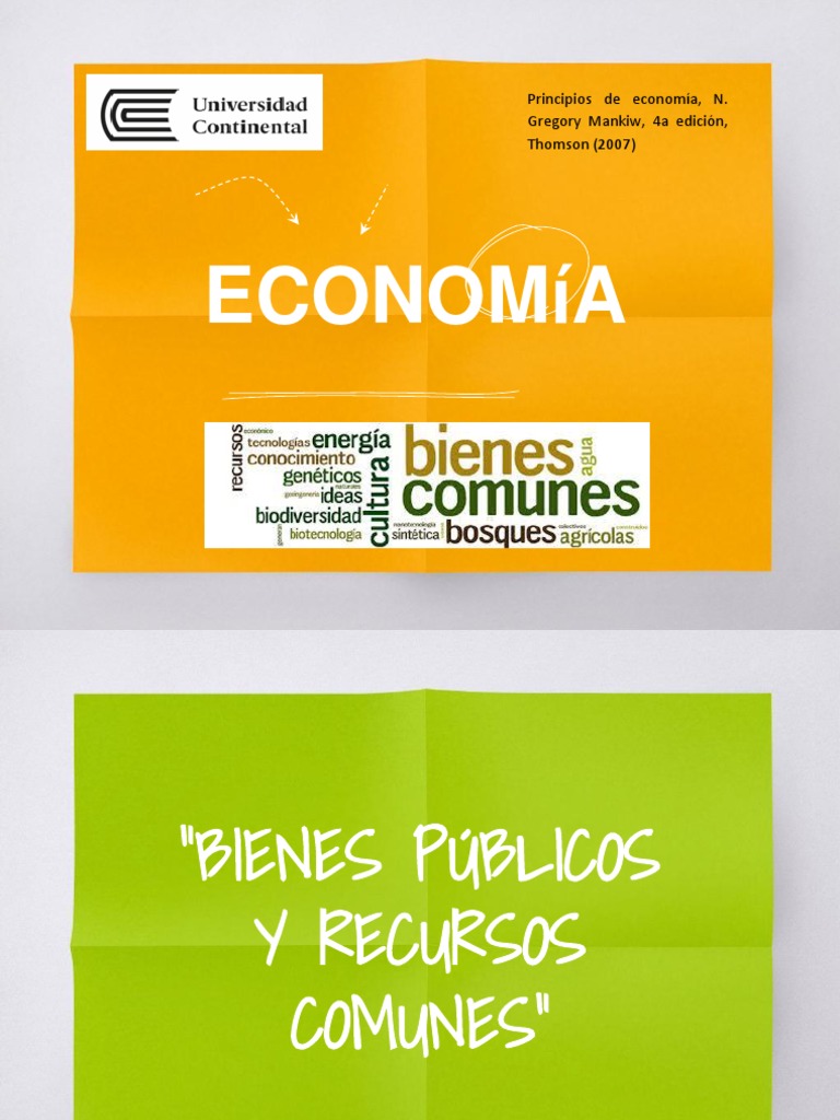 Bienes Públicos y Recursos Comunes | PDF | Bien público | Bienes