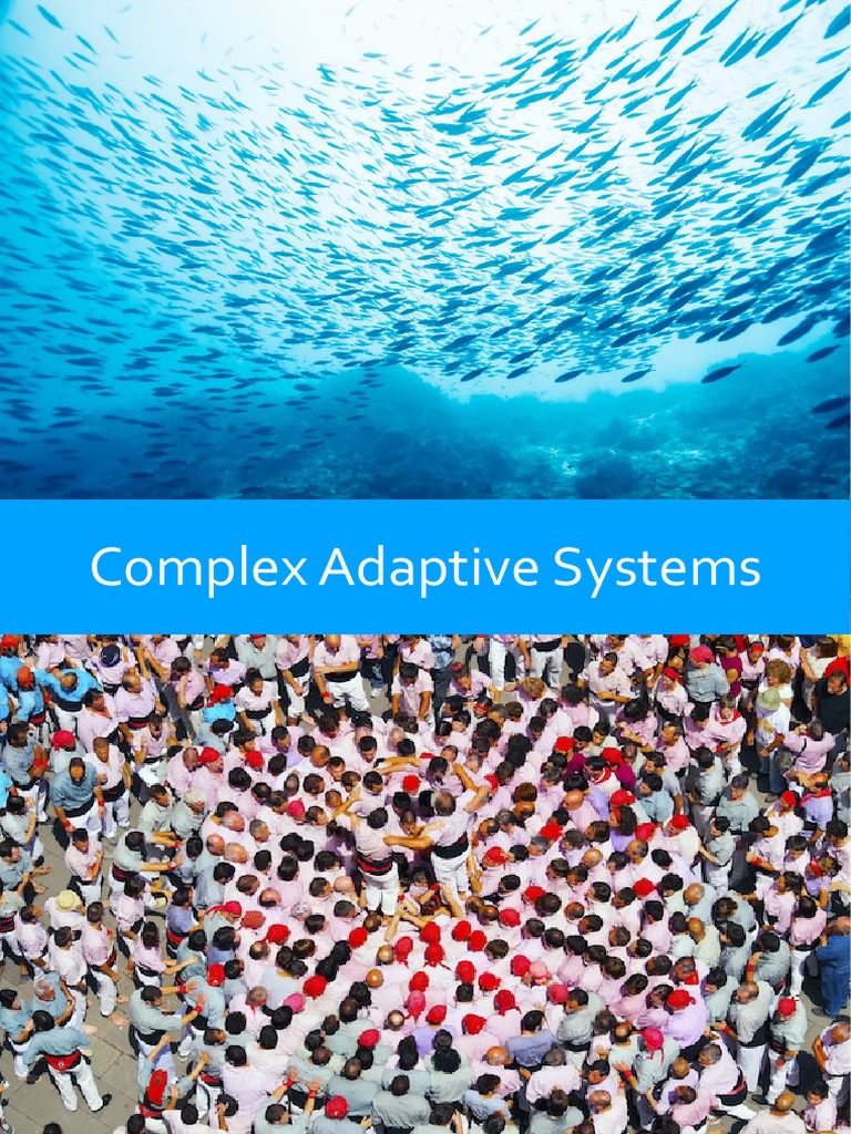 Complex Adaptive Systems Book | PDF | Emergence | System