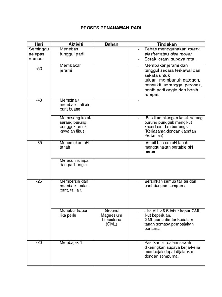 Proses Penanaman Padi | PDF