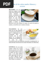 08 Salsas Madres y Derivadas | PDF | Salsa | Condimentos