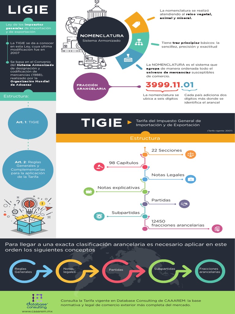 Infografía-TIGIE.pdf