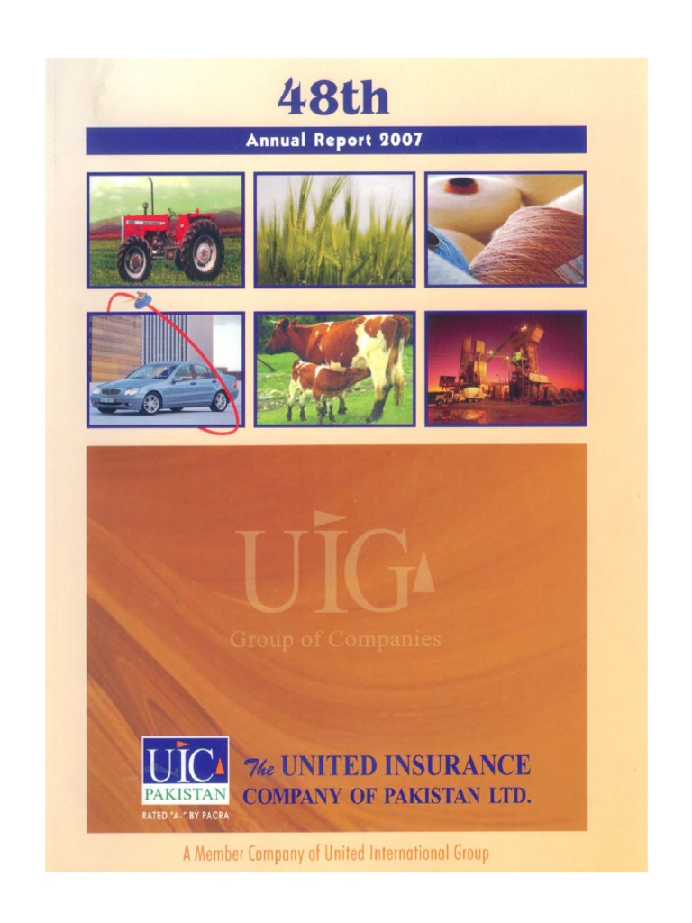 Annual Report 2007 | PDF | Regulatory Compliance | Insurance