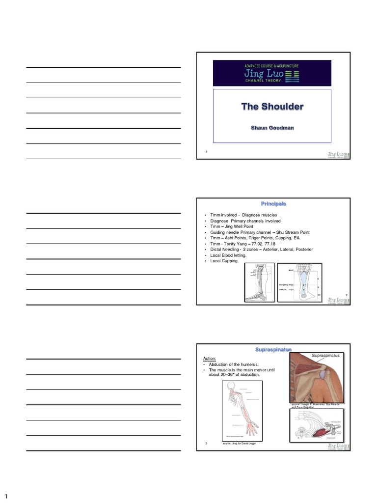 The Shoulder - Tung Acupoints | PDF | Shoulder | Myofascial Trigger Point