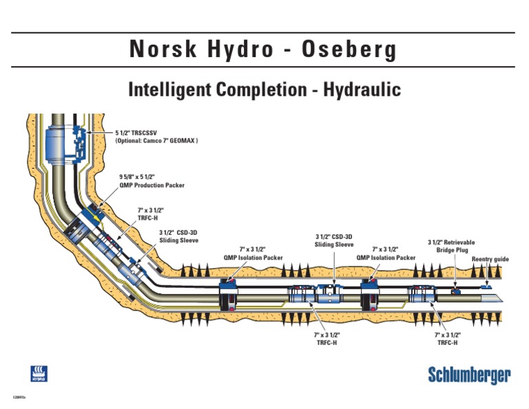 Norsk Hydro Oseberg Completion Equipment | PDF | Technology & Engineering