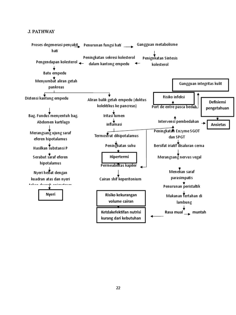 Pathway Kolelitiasis | PDF
