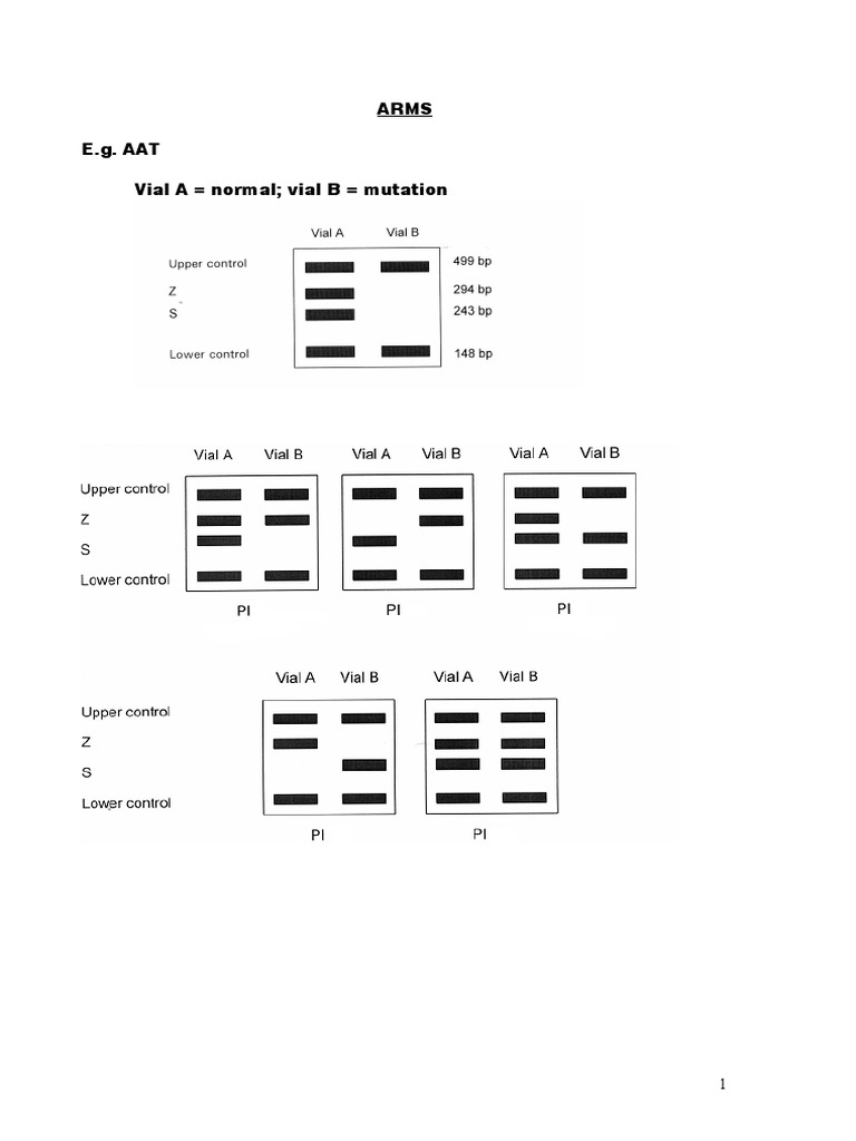 Tutorial Handout Examples | PDF | Gel Electrophoresis | Macromolecules