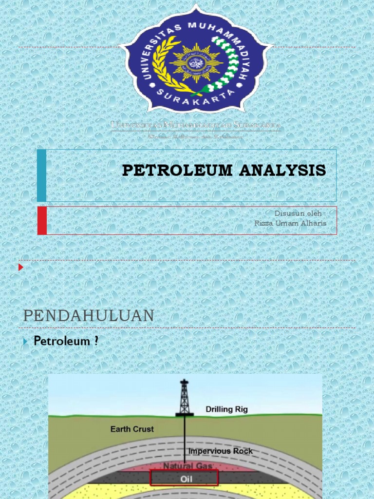 Comprehensive Petroleum Analysis Guide | PDF