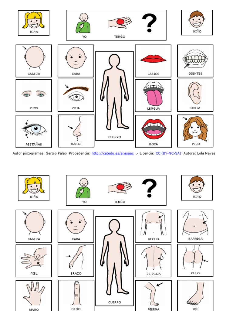 Tablero Cuerpo Pictos | PDF | Cara | Anatomía humana