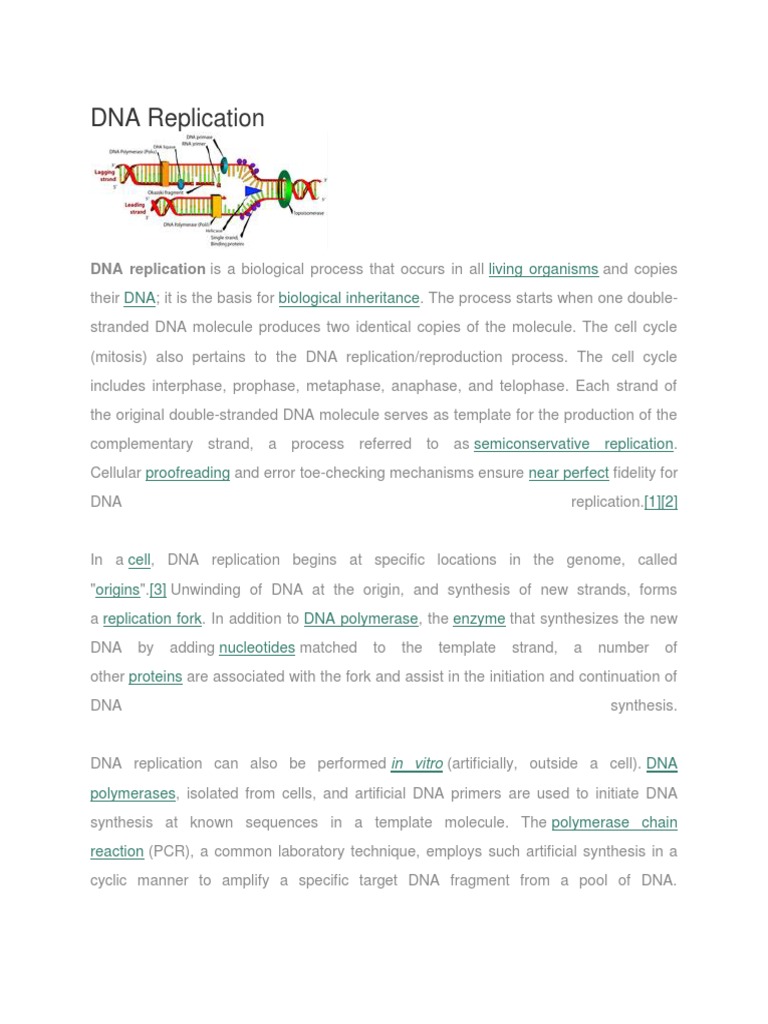 DNA Replication: DNA Replication Is A Biological Process That Occurs in ...