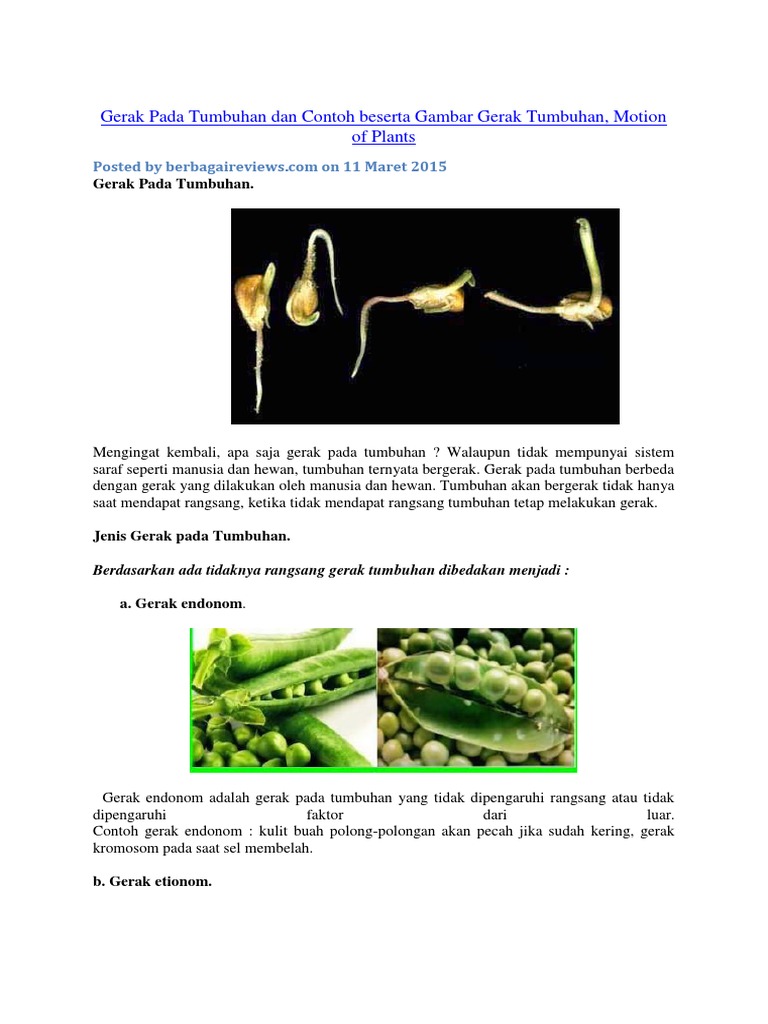 Gerak Tumbuhan: Endonom dan Etionom | PDF | Sains & Matematika ...