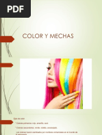 Cómo lograr el color manteca en el cabello | PDF | Color | Pelo