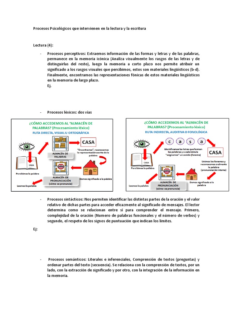 Procesos de Lectura y Escritura | PDF | Lectura (proceso) | Comprensión ...