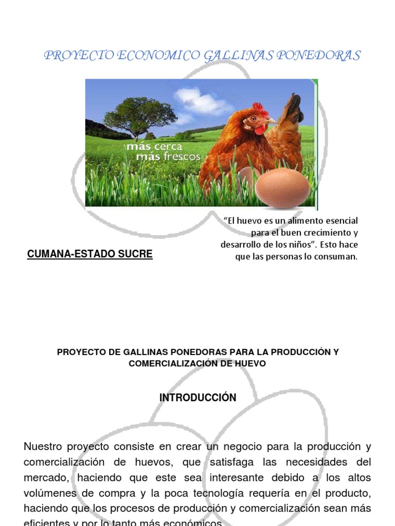Proyecto Gallinas Ponedoras Ruben Narvaez | PDF | Pollo | Aves