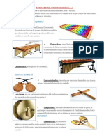 Instrumentos Musicales de Puerto Rico | PDF