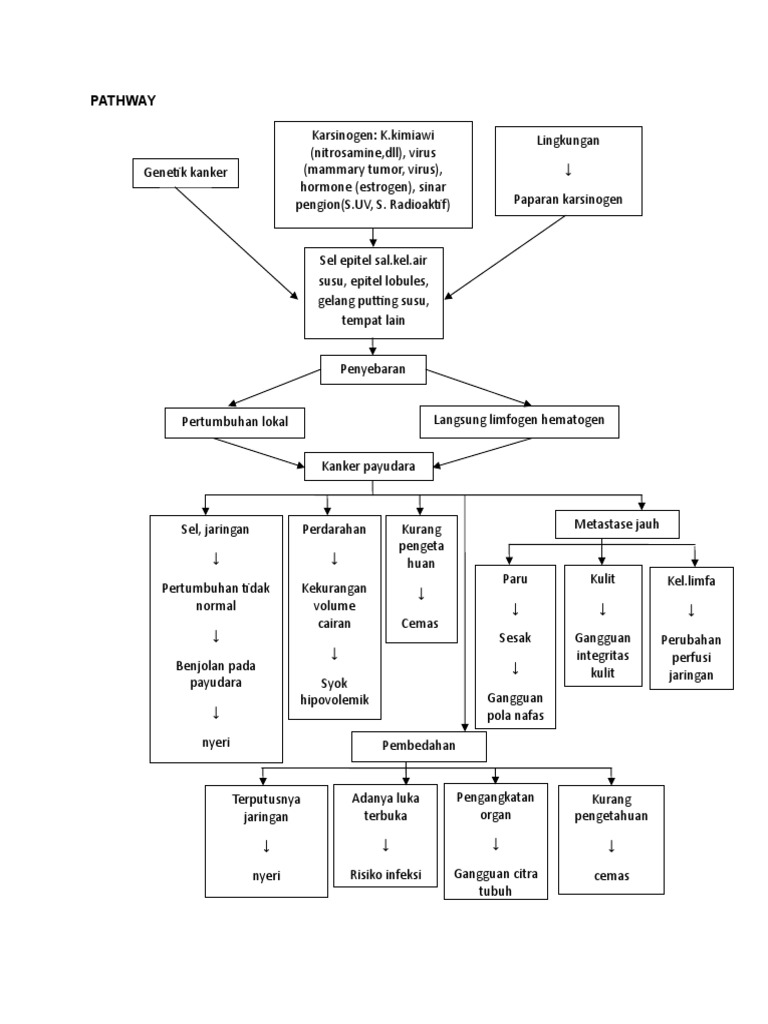 Pathway CA Mammae | PDF