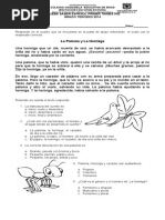 Evaluacion Acumulativa-Español - Grado Primero | PDF