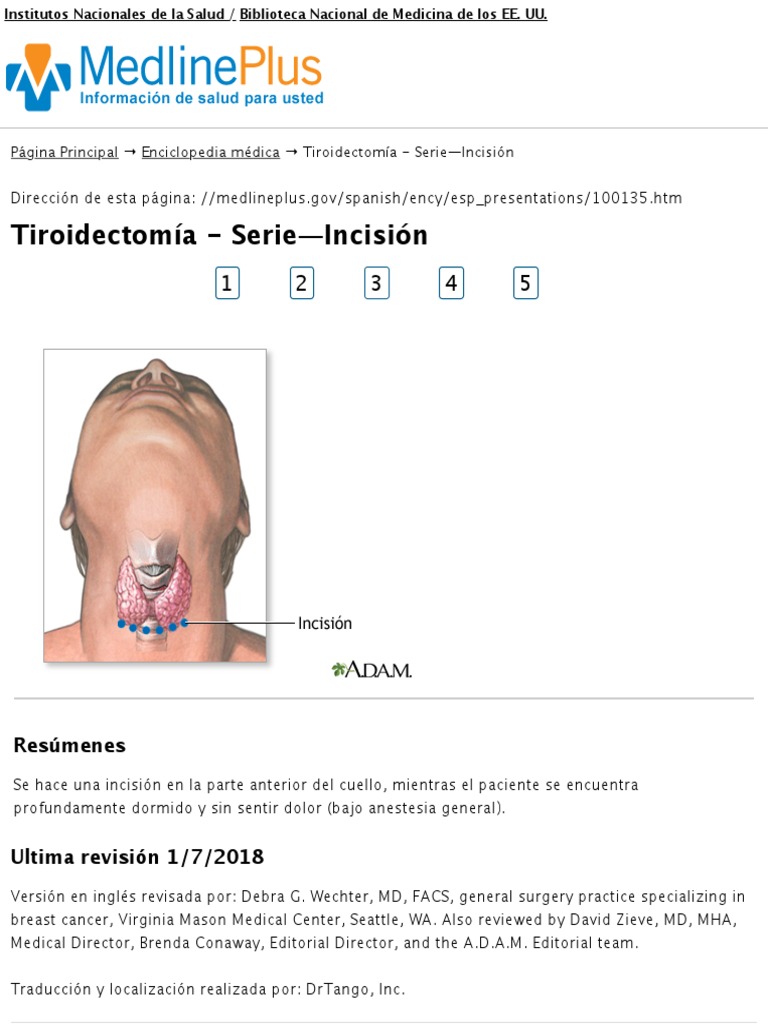 Tiroidectomía - Serie-Incisión: MedlinePlus Enciclopedia Médica | PDF ...