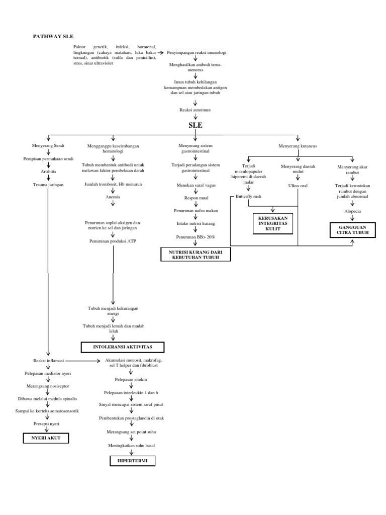 Pathway Sle Tami | PDF