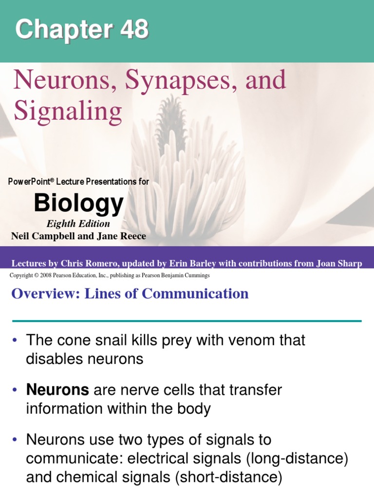 Teori Fisiologi Hewan "Neurons, Synapses, and Signaling" by Bu Indri ...