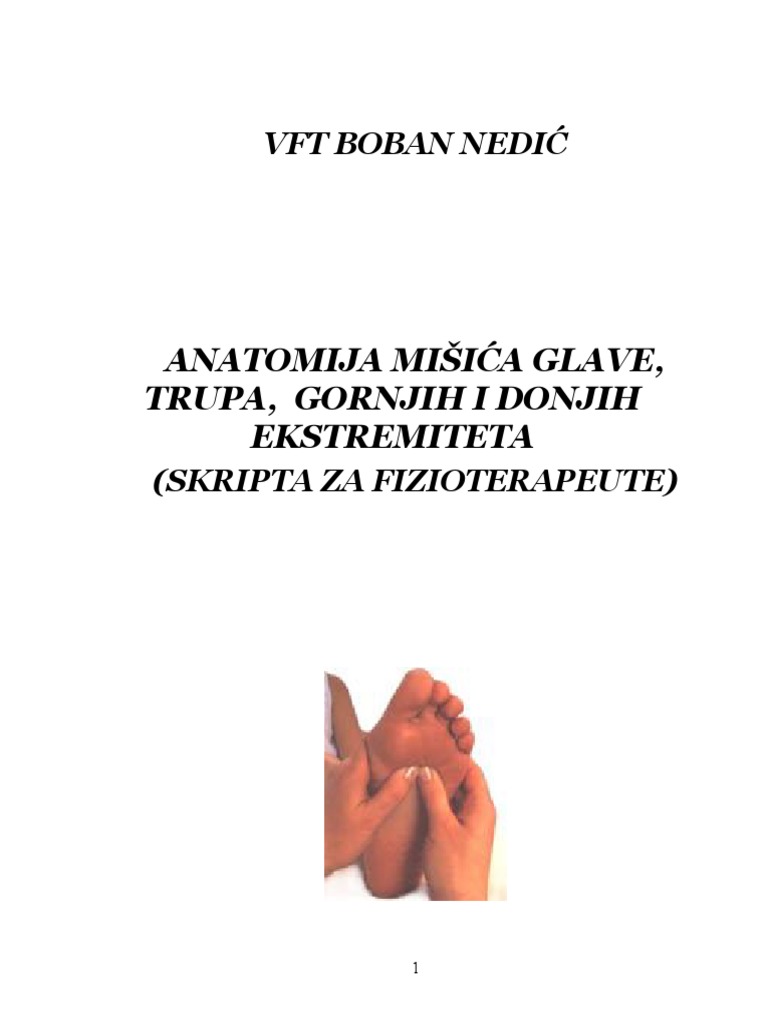 Anatomija Misica PDF | PDF