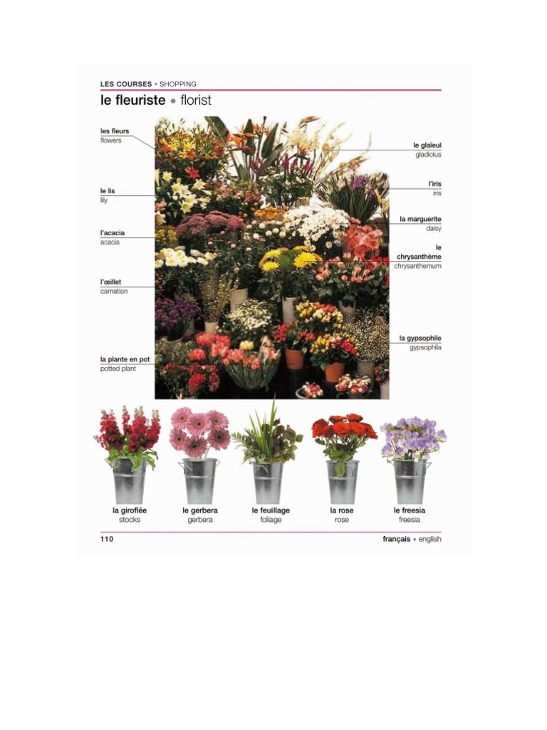Vocabulaire Le Fleuriste