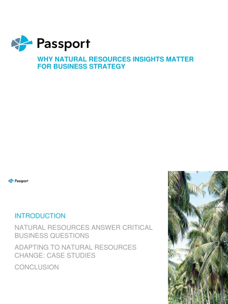 Why Natural Resources Insights Matter For Business Strategy PDF | PDF ...