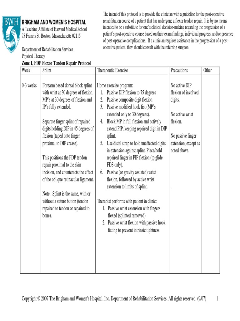 BWH Flexor Tendon Repair Protocol | PDF | Finger | Physical Therapy
