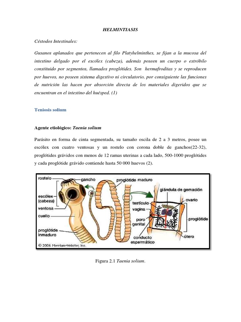 HELMINTIASIS | PDF | Especialidades Medicas | Medicina CLINICA