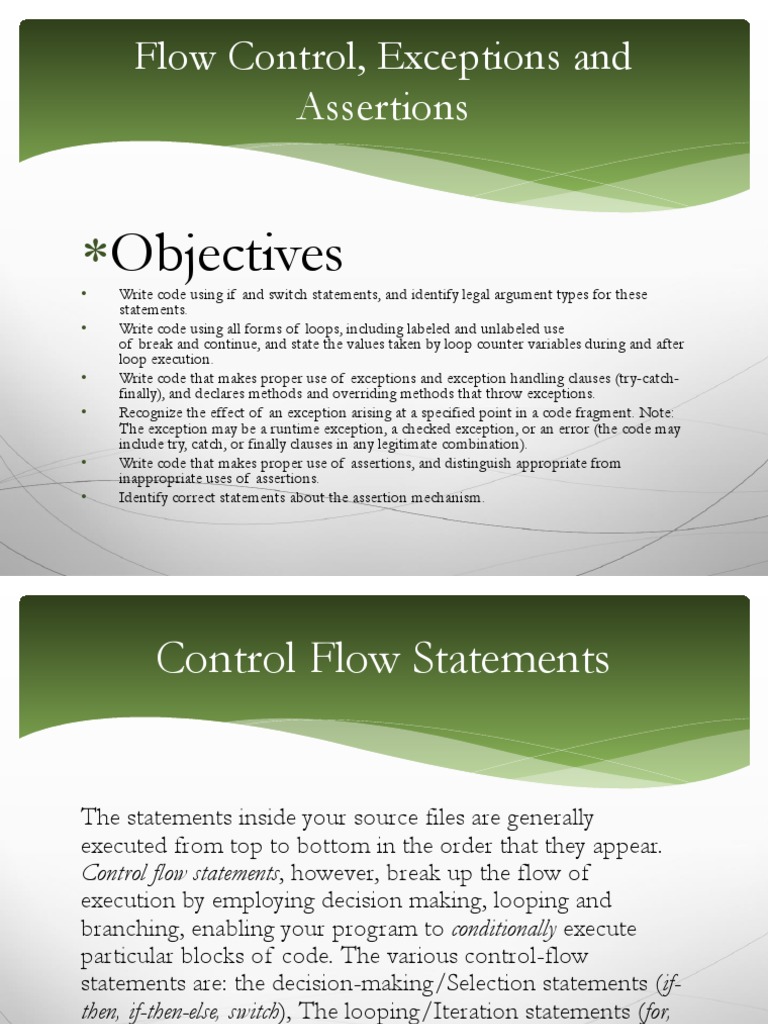 Flow Control, Exceptions and Assertions | PDF | Control Flow | Software Engineering