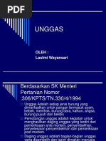 Daftar RPHU Di Indonesia | PDF