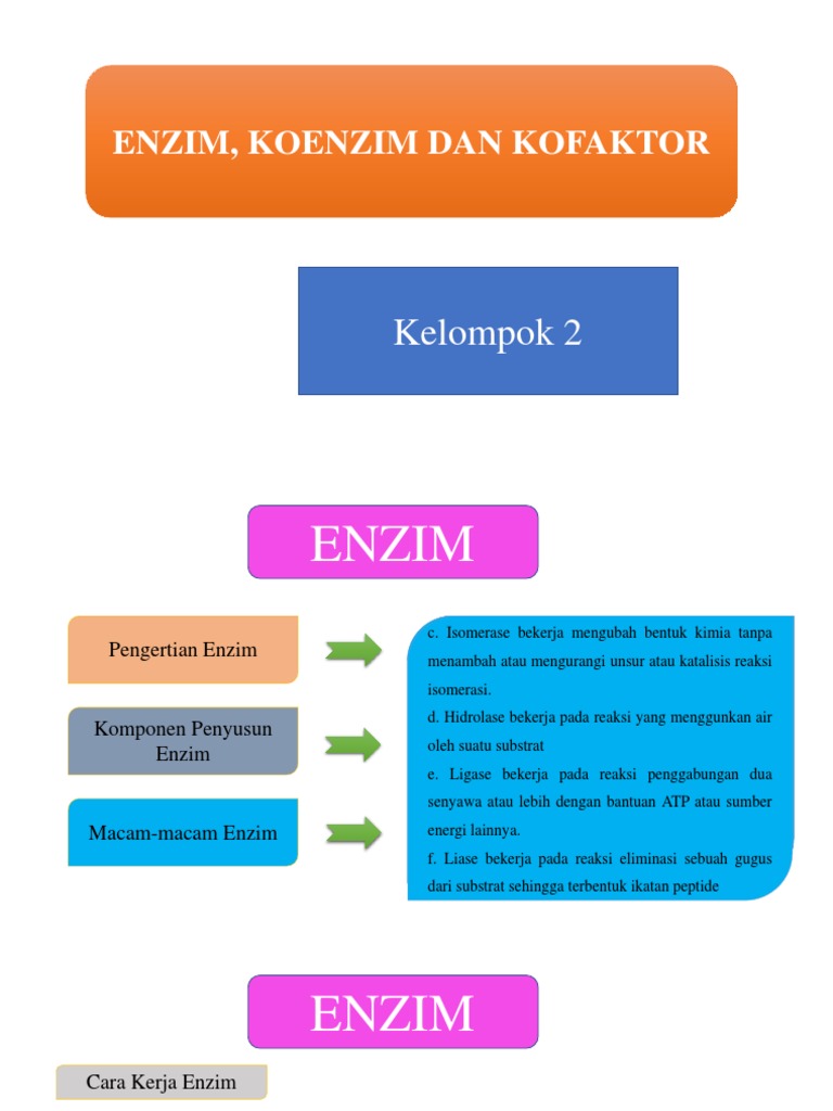 Enzim, Koenzim Dan Kofaktor | PDF
