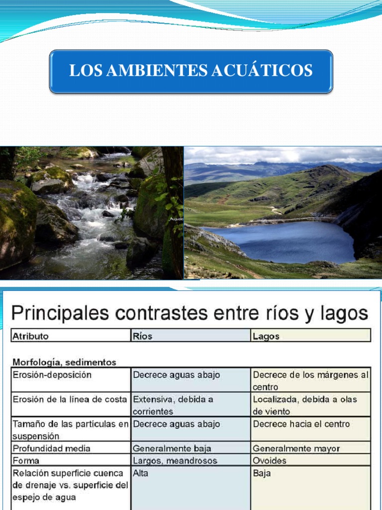 3 Lagos Lagunas | PDF | lago | Río
