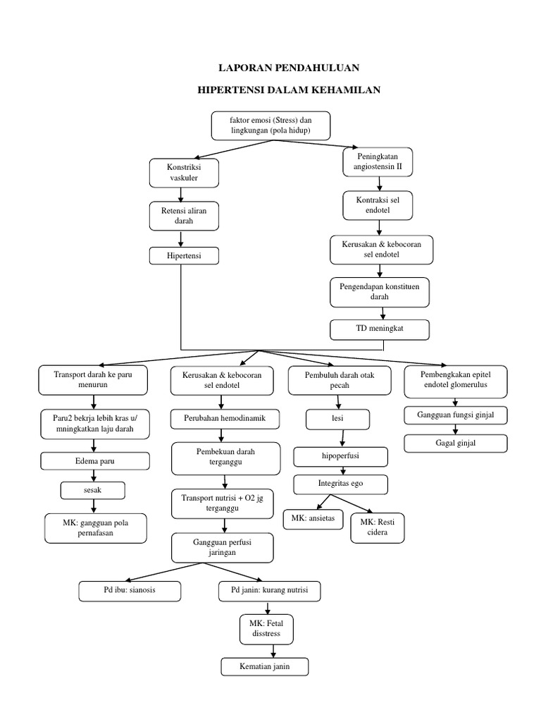 Pathway HT Pada Kehamilan | PDF