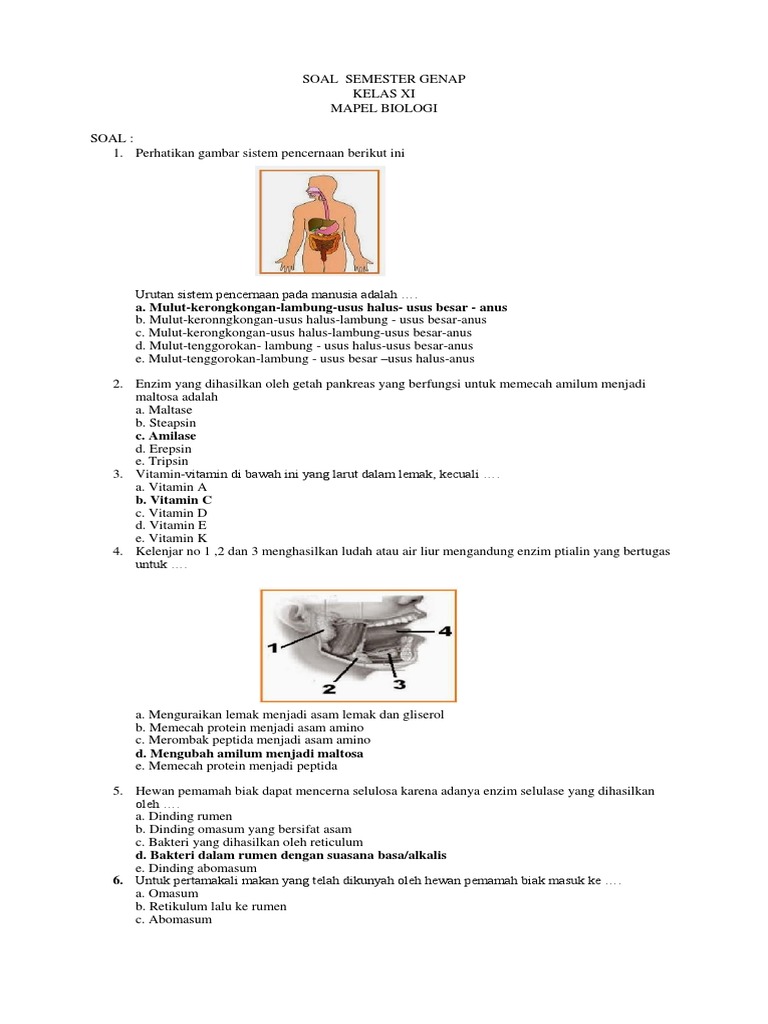 Soal Biologi Semester Genap Kelas Xi | PDF