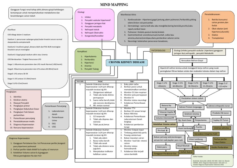 Woc CKD | PDF