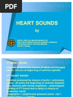 Heart Sounds | PDF | Heart | Heart Valve