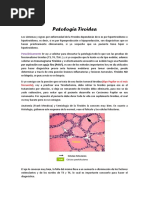 Células Lábiles | PDF | Relaciones personales, crianza y desarrollo ...