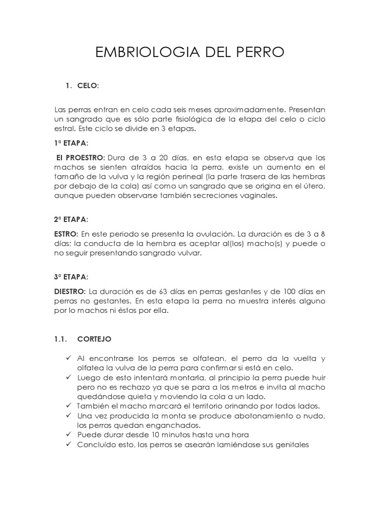 Desarrollo embrionario del perro | PDF | Placenta | Feto
