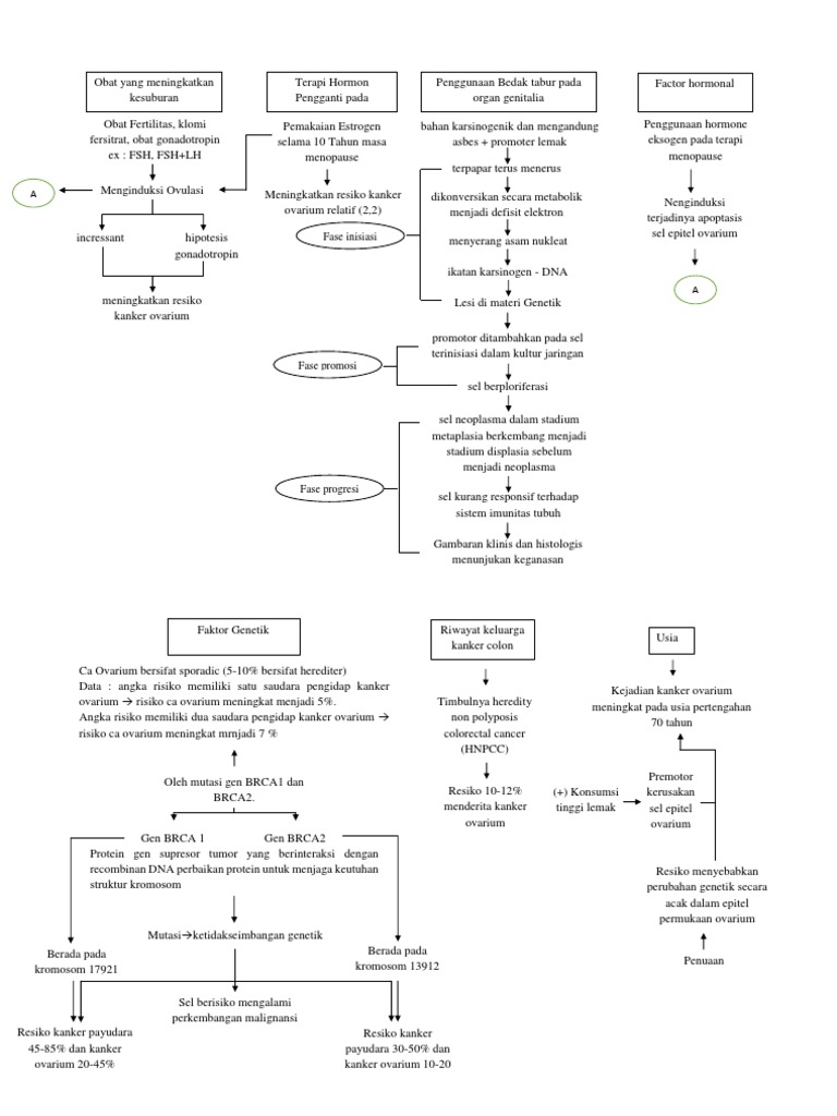 Pathway CA Ovarium | PDF