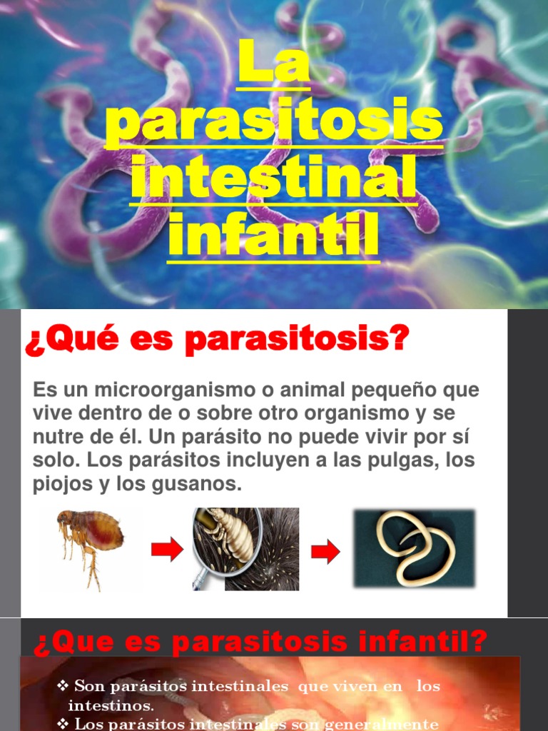 La parasitosis intestinal infantil: causas, síntomas y tratamiento de ...