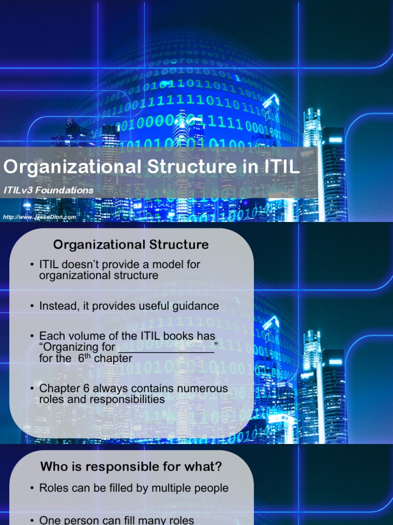 08 Organizational Structure in ITIL | PDF